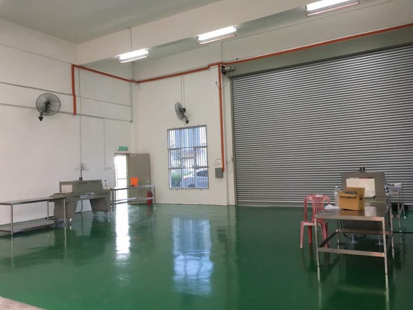 Operations Floor | Octagon Solutions - Your Packaging Specialist